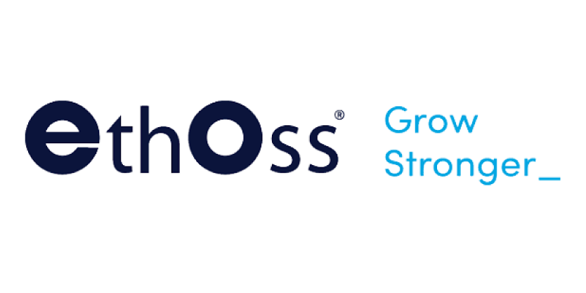 EthOss Synthetic Bone Graft Regeneration | VP Dental and Medical